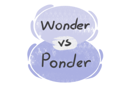 What is the difference between 'answer' and 'reply' and 'respond'? | LanGeek