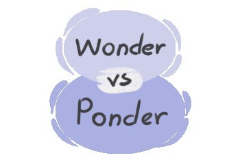 What is the difference between 'wonder' and 'ponder'? | LanGeek