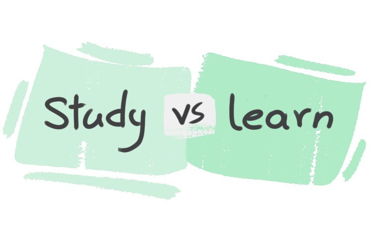 What is the difference between 'study' and 'learn'? | LanGeek