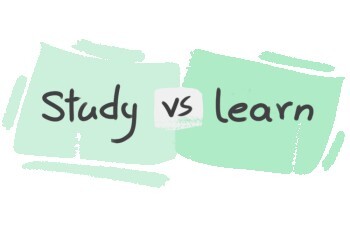 What is the difference between 'study' and 'learn'? | LanGeek