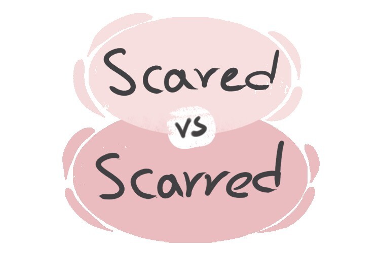 "Scared" vs. "Scarred" in English | LanGeek