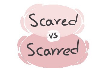 "Scared" vs. "Scarred" in English | LanGeek