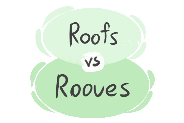 "Roofs" vs. "Rooves" in the English Grammar | LanGeek