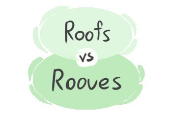 "Roofs" vs. "Rooves" in the English Grammar | LanGeek