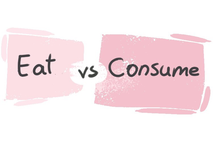 What is the difference between 'eat' and 'consume'? | LanGeek