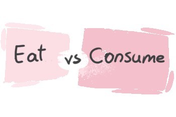 What is the difference between 'eat' and 'consume'? | LanGeek