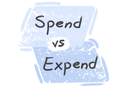 What is the difference between 'but' and 'purchase'? | LanGeek