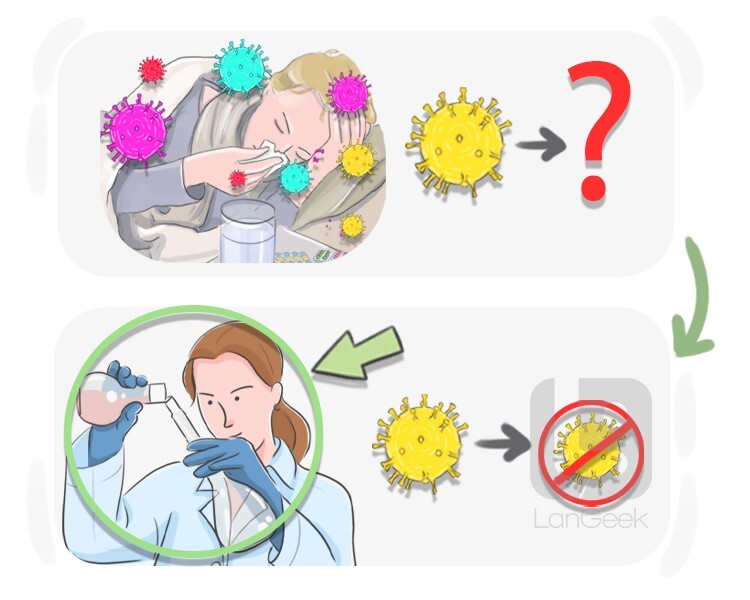 Definition & Meaning of "Hold the key to" | LanGeek