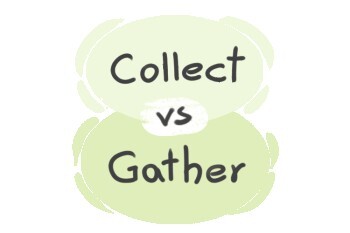 What is the difference between 'collect' and 'gather'? | LanGeek