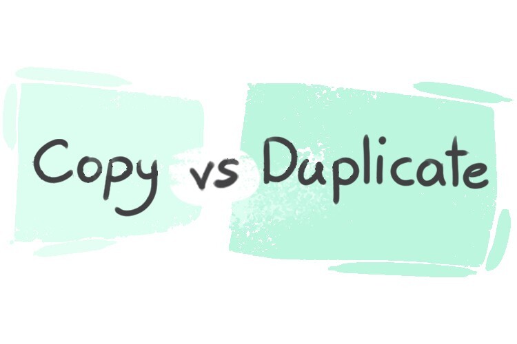 What is the difference between 'copy' and 'duplicate'? | LanGeek