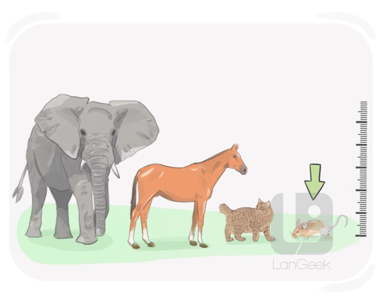 Definition & Meaning of "Minuscule" | LanGeek