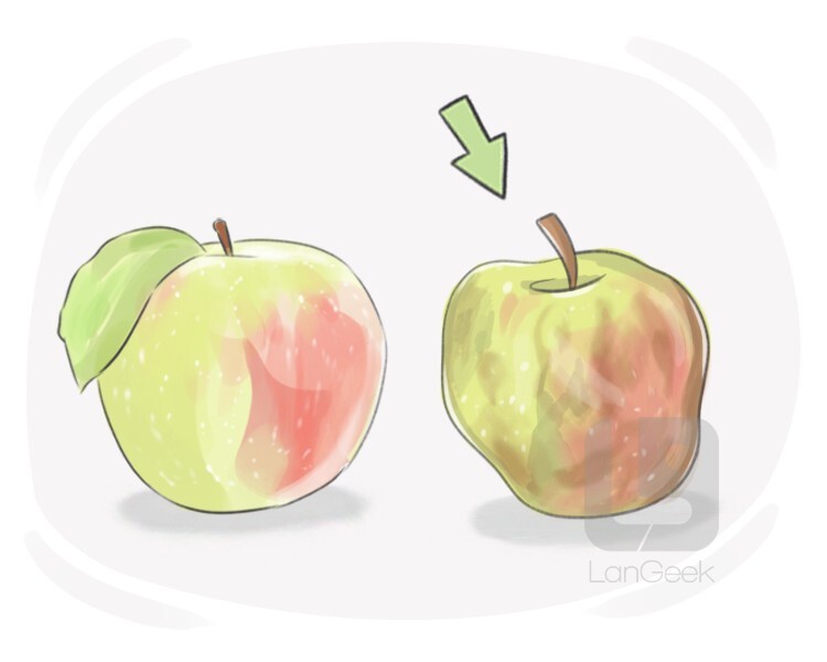 Definition & Meaning of "Flawed" | LanGeek