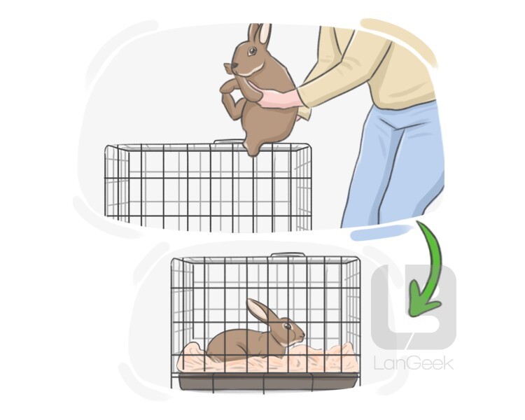 Definition & Meaning of "Cage" | LanGeek