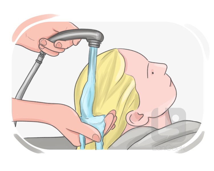 Definition & Meaning of "Rinse" | LanGeek