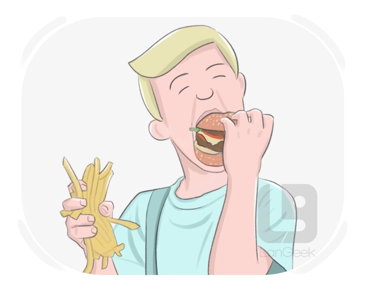 Definition & Meaning of "Have" | LanGeek