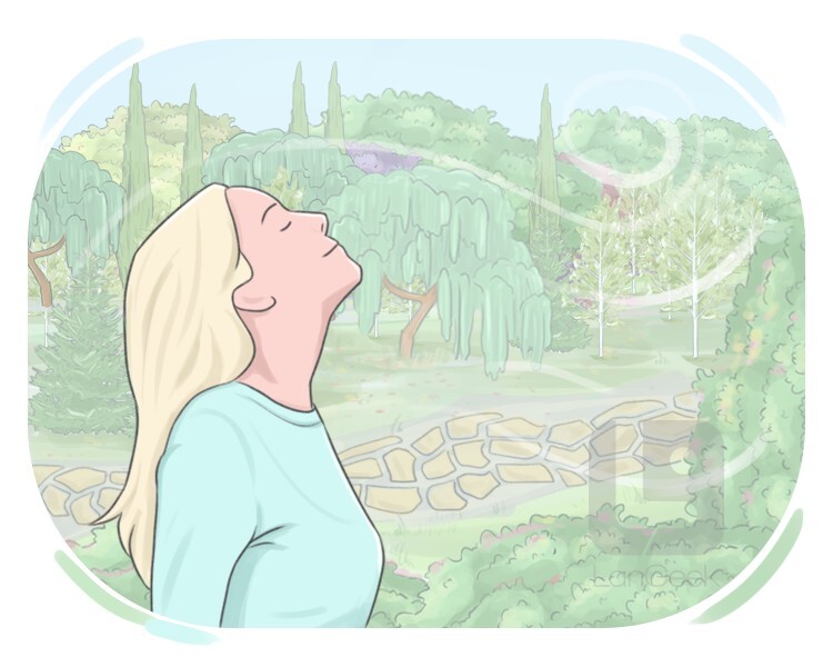 Definition & Meaning of "Feel" | LanGeek