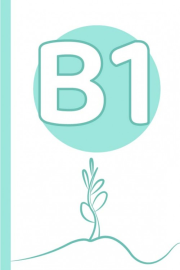 English CEFR B1 Vocabulary | LanGeek