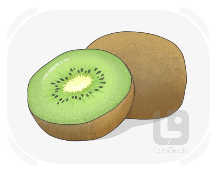 Definition & Meaning of "Kiwi fruit" | LanGeek